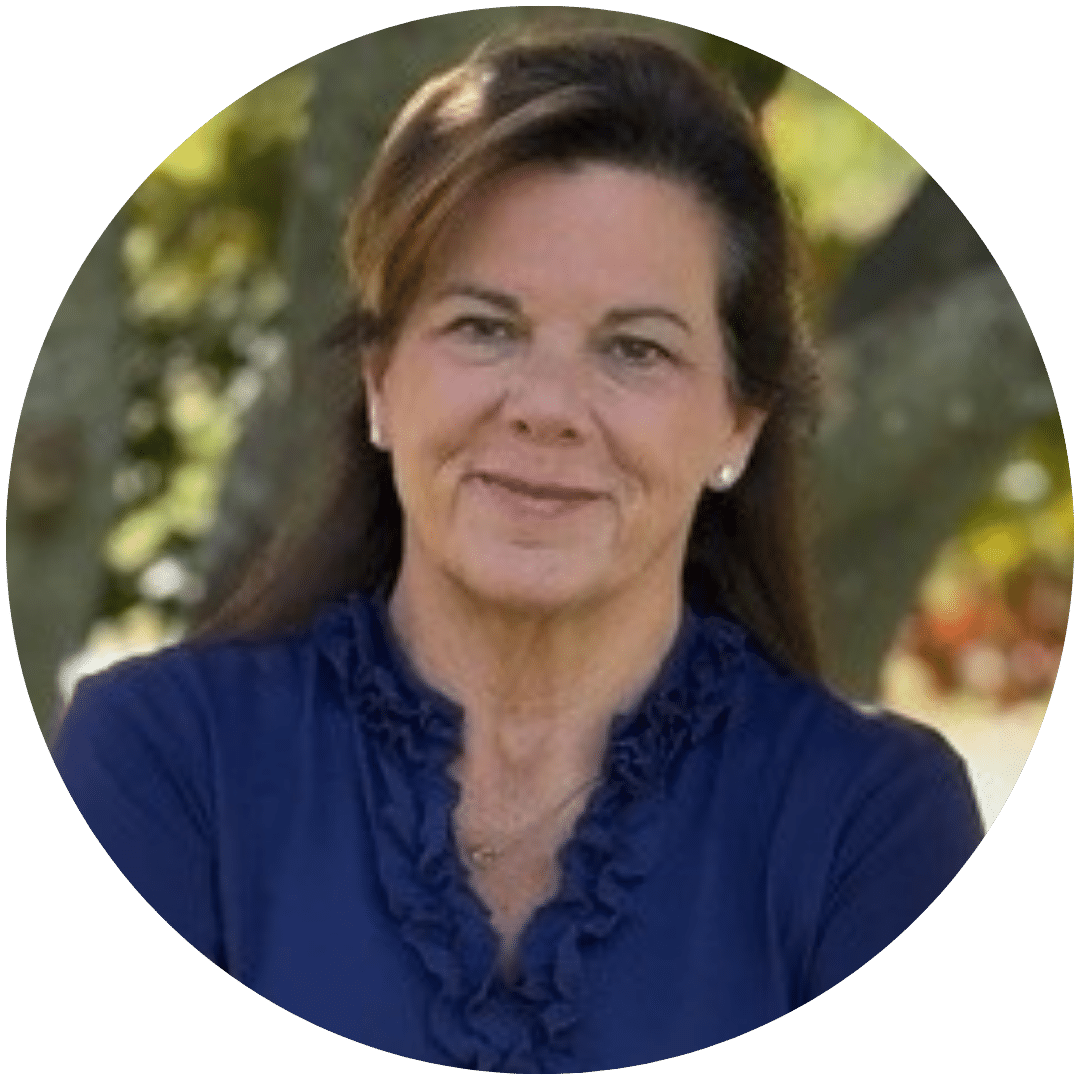 About - New England Village